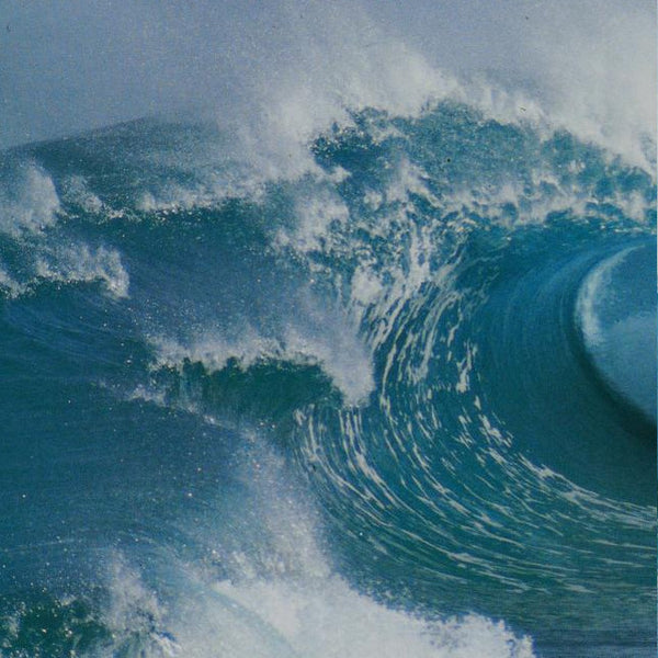 Complete Calm System | Anxiety Gummies | ASYSTEM